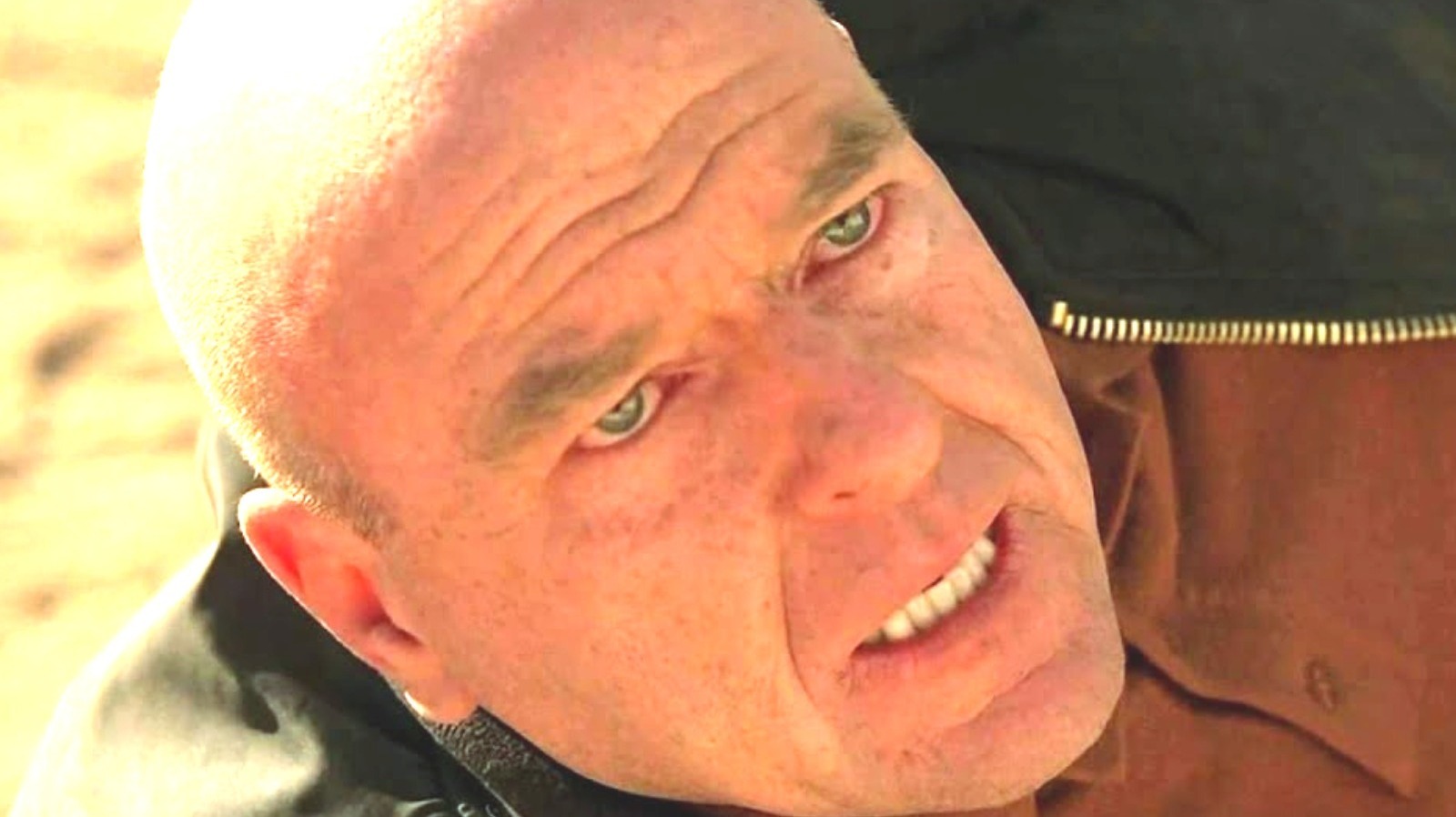 37% Of Breaking Bad Fans Believe This Moment Went Too Far