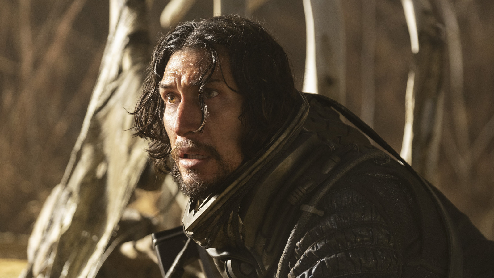 65's Ariana Greenblatt Recalls Wholesome Moments Working With Adam ...