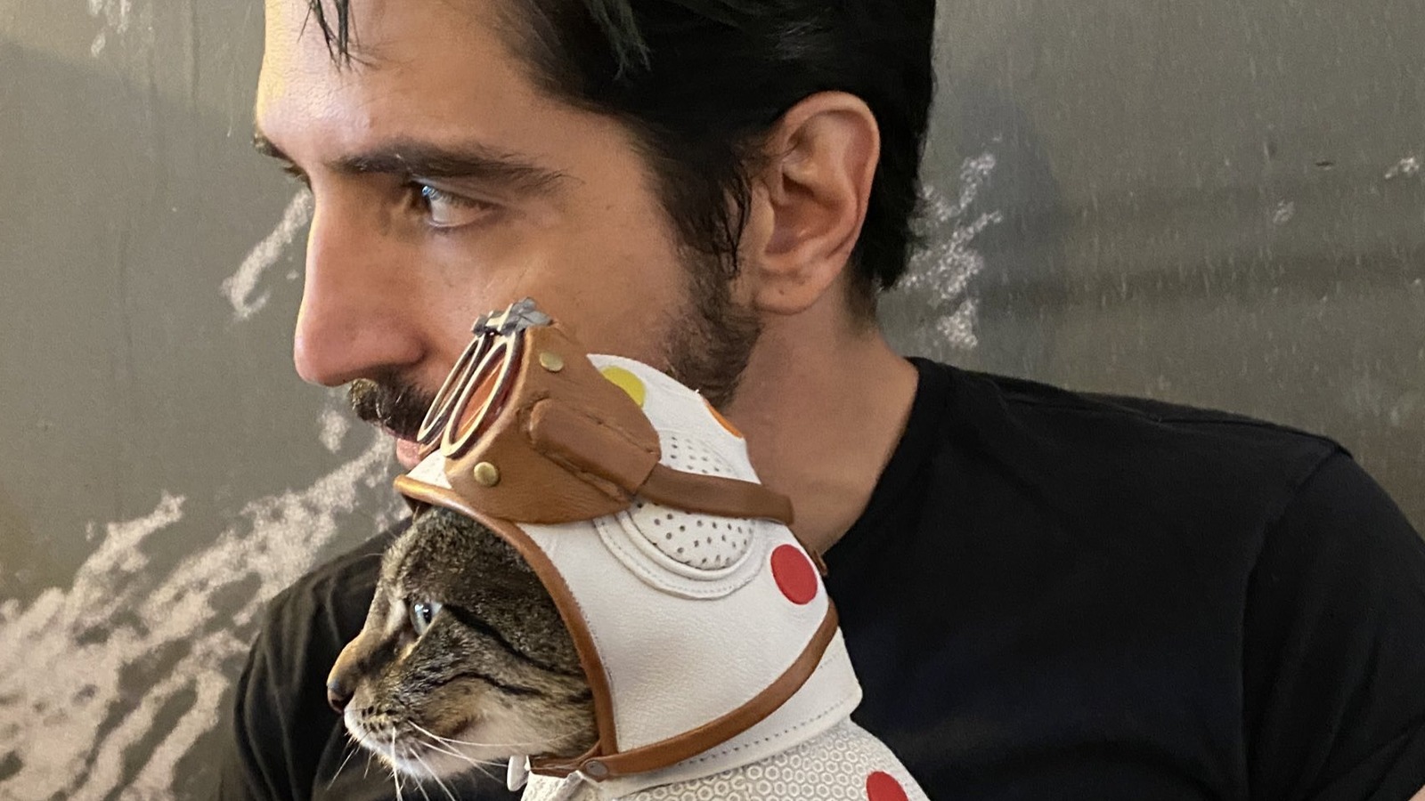 Did Will Smith Adopt The Dog From I Am Legend