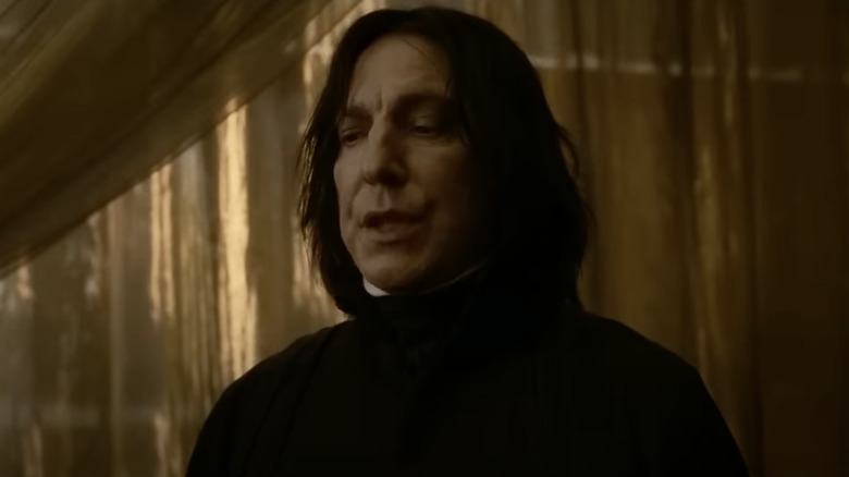 Jason Shomer - Looper