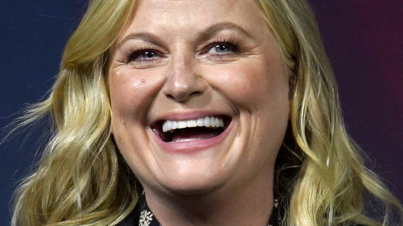 Amy Poehler's Theory That Explains Why Parks And Recreation Is So ...