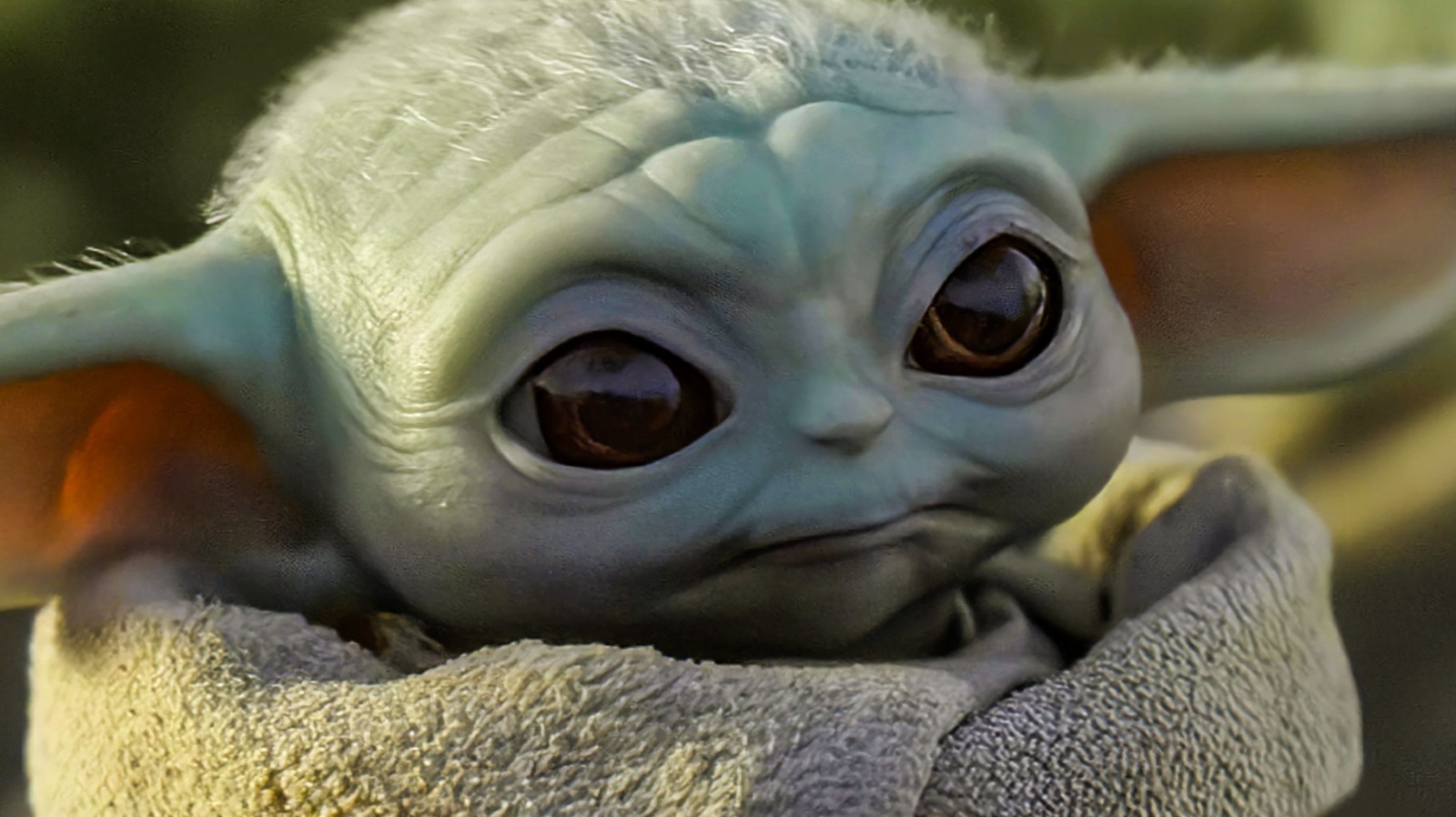 Baby Yoda Fans Are On High Alert After Grogu Short Film Release Date ...
