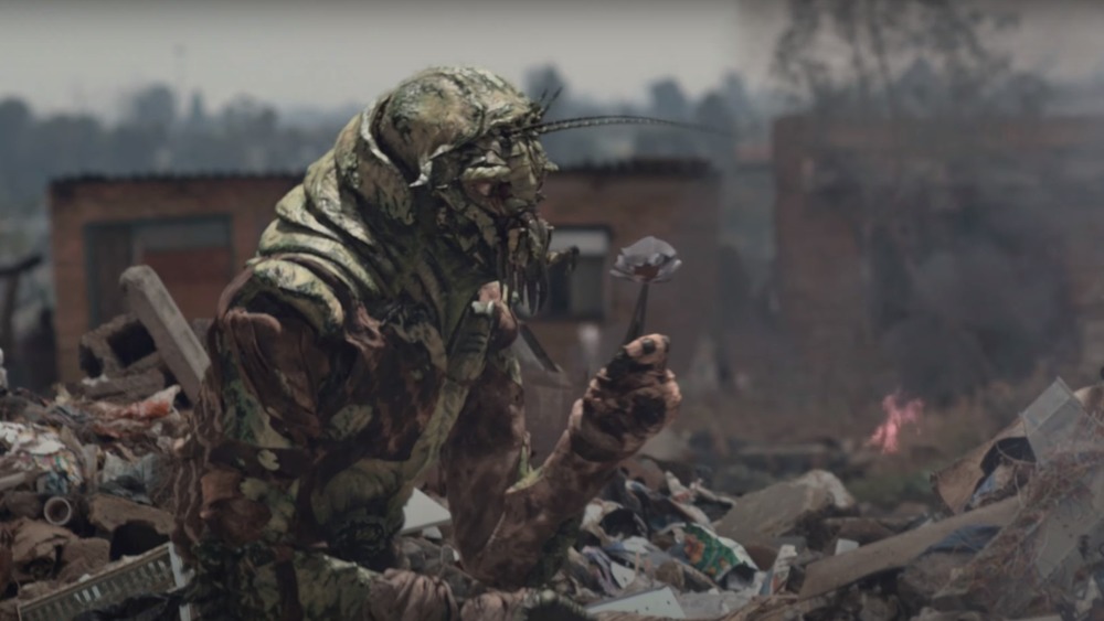 District 10 - What We Know So Far