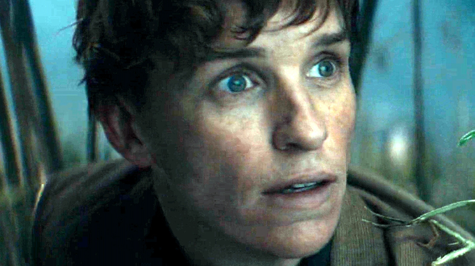 Do You Want To See Another Fantastic Beasts Sequel? Here's What Nearly ...