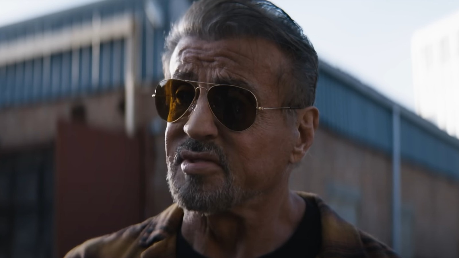 Expendables 4: Every Cast Member Who Came Back & Why Arnold ...