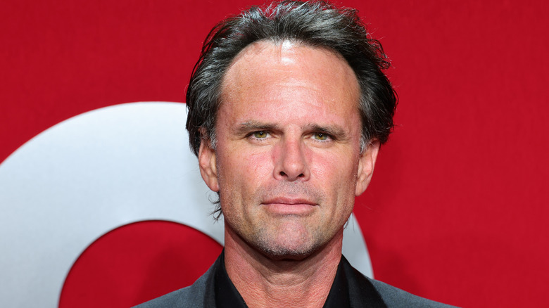 Fallout TV Series Cast, Plot, Showrunners And More Details