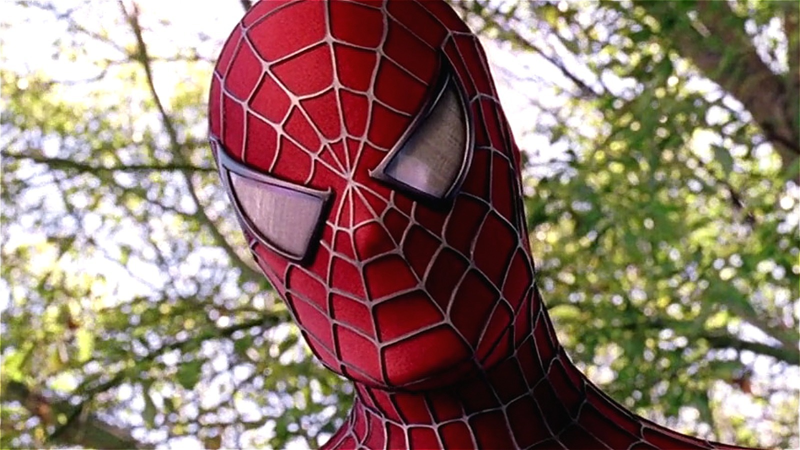 Fans Are Flipping Out Over Netflix's Surprise Spider-Man Trilogy News