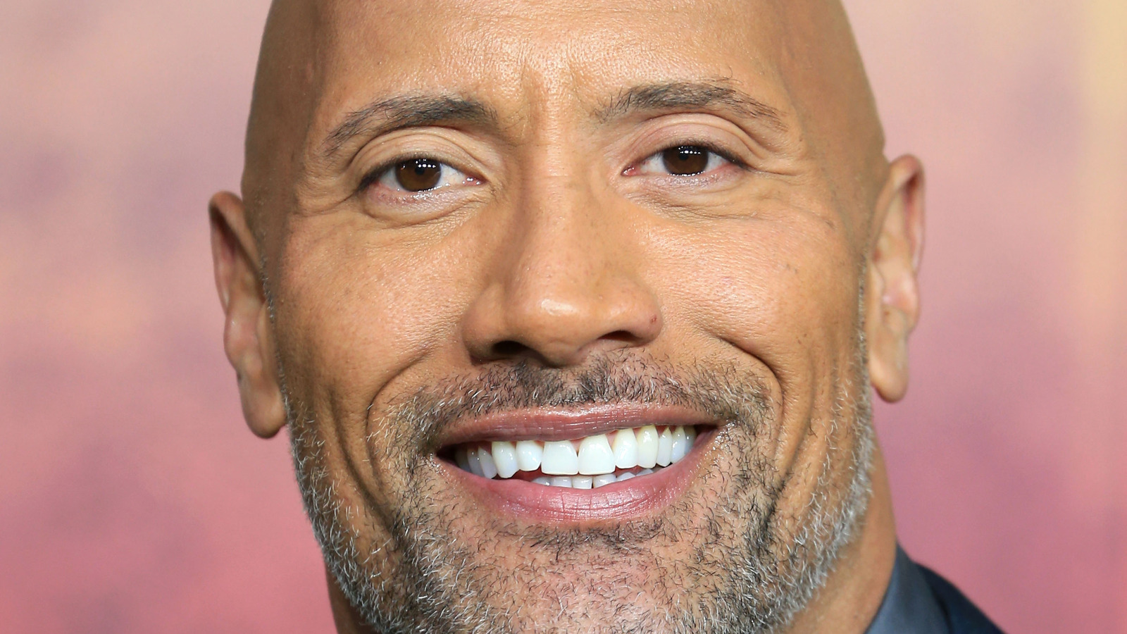 Dwayne Johnson Fights Massive Beasts In First Rampage Trailer