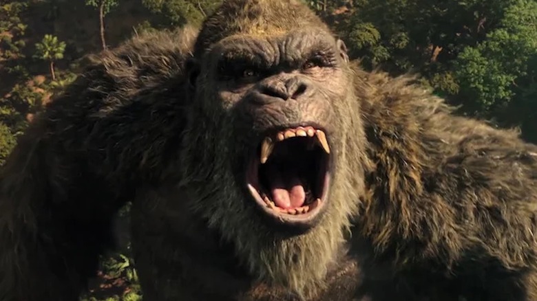 Godzilla Kong' 4K UHD Blu-Ray Review Epic Smackdown, 55% OFF