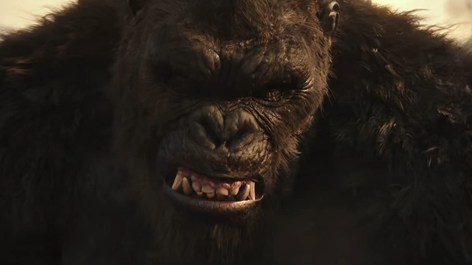 Godzilla Vs. Kong Review: Royal Rumble?