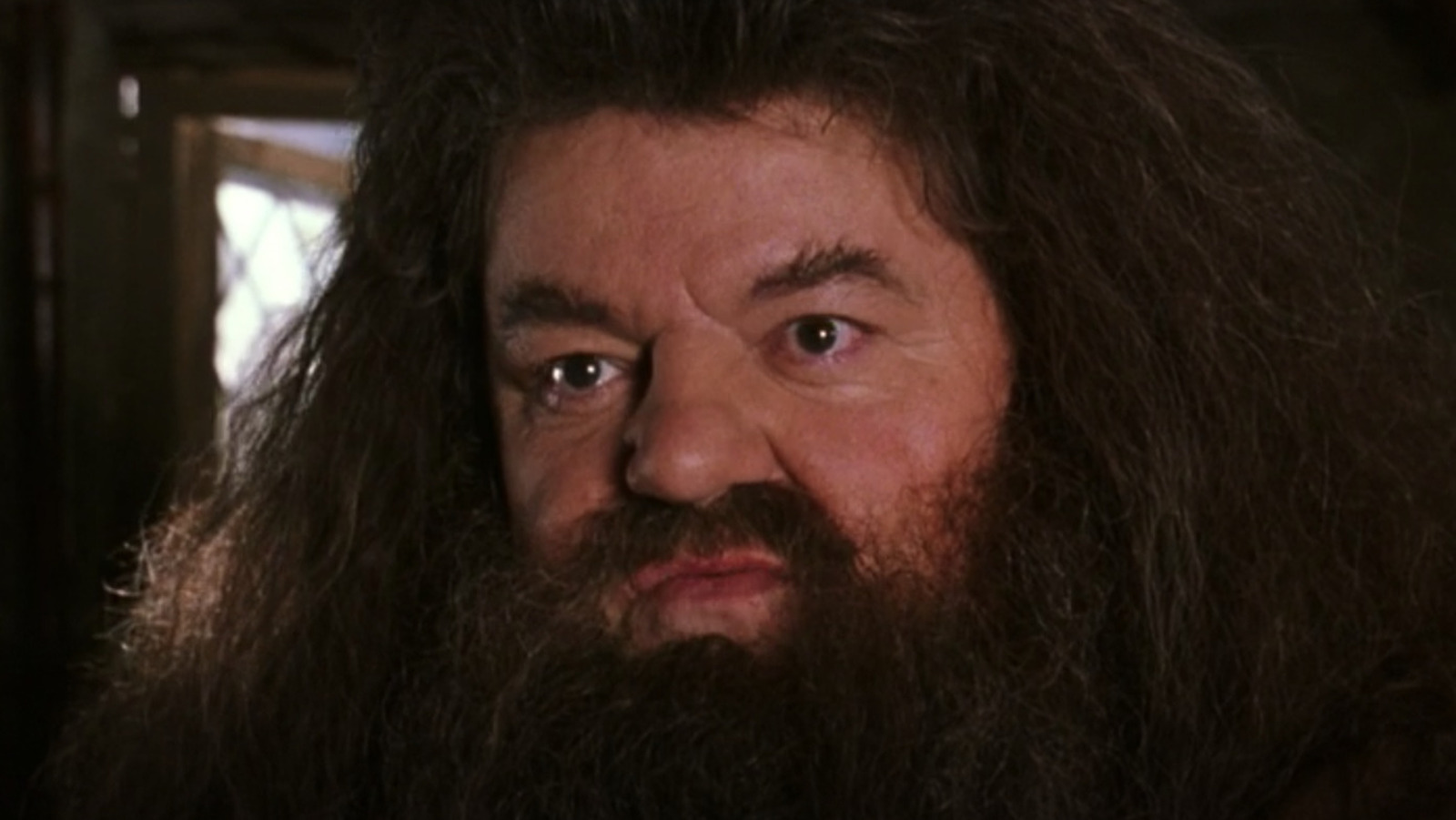 Harry Potter Fans Shed Tears Over Robbie Coltrane's Comments On Hagrid's Legacy