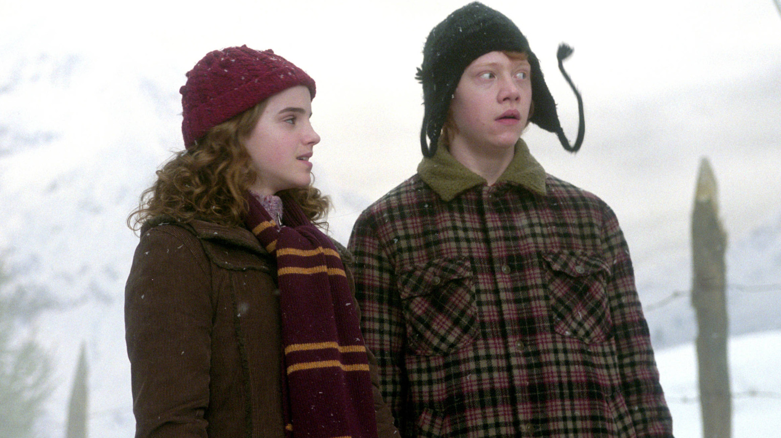 Do Ron And Hermione Fall In Love