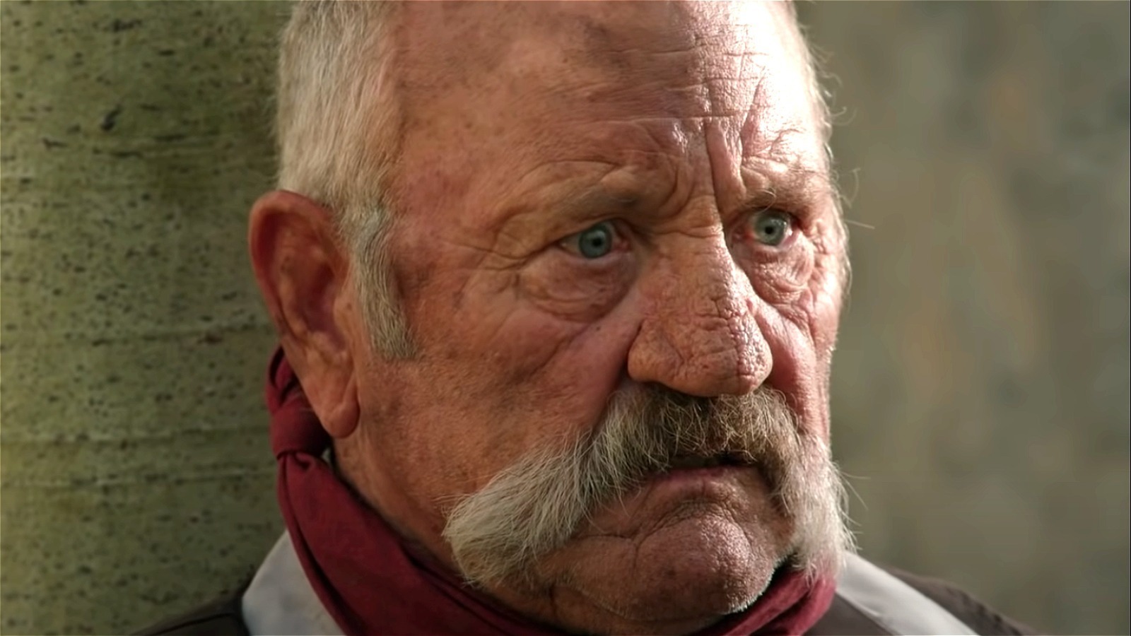 Here's What Fans Think Wade Stole On Yellowstone