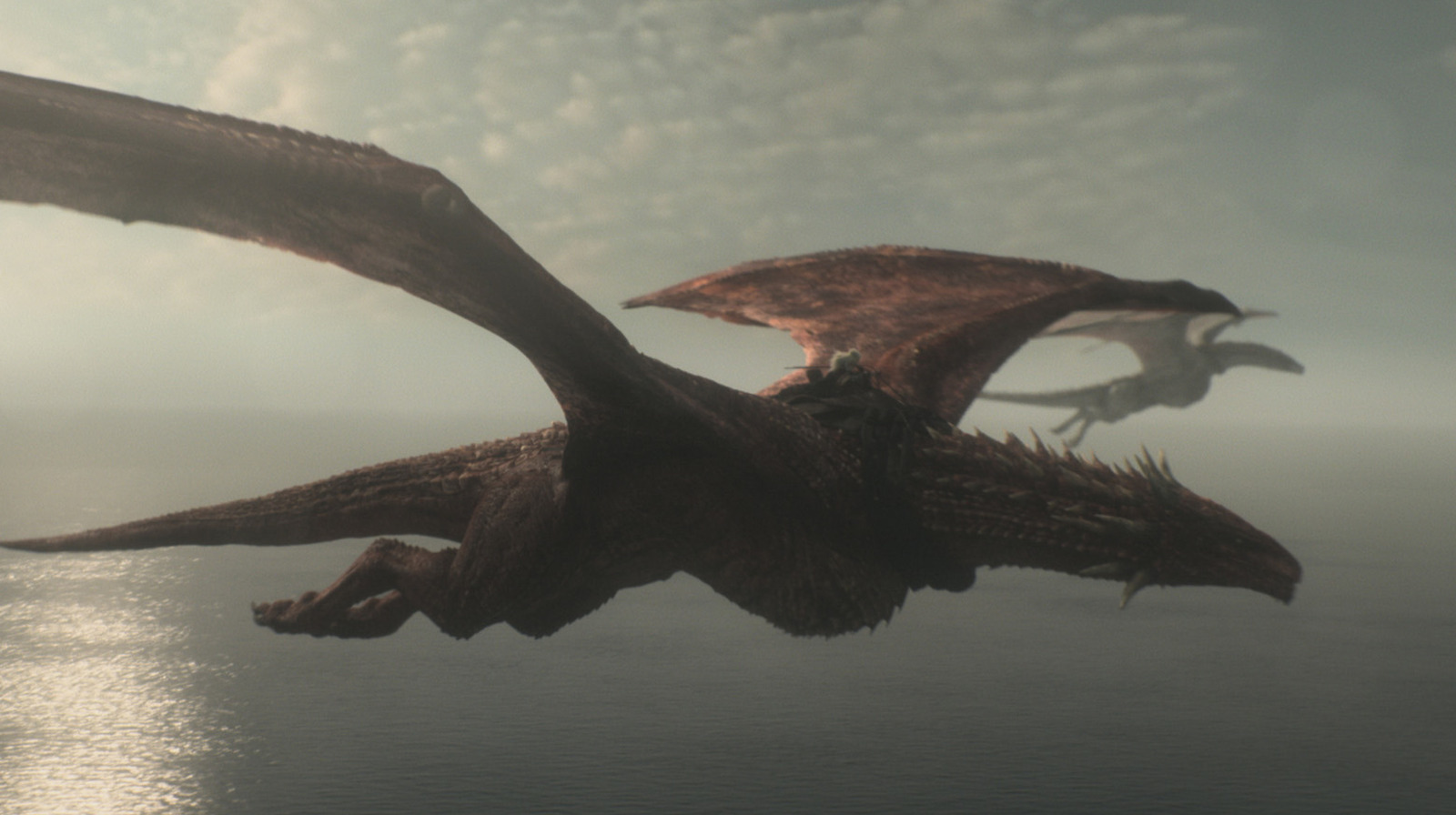 House Of The Dragon Fans All Have The Same Complaint About The Dragons