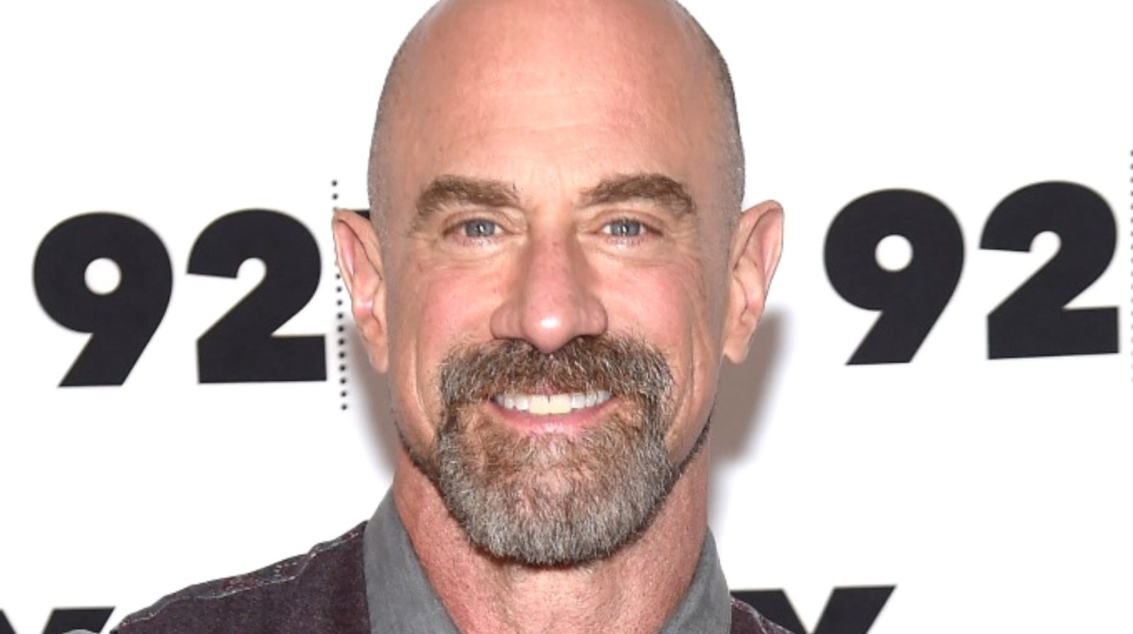 Actor Elliot Stabler 60 Photos - Moonagedaydream.film