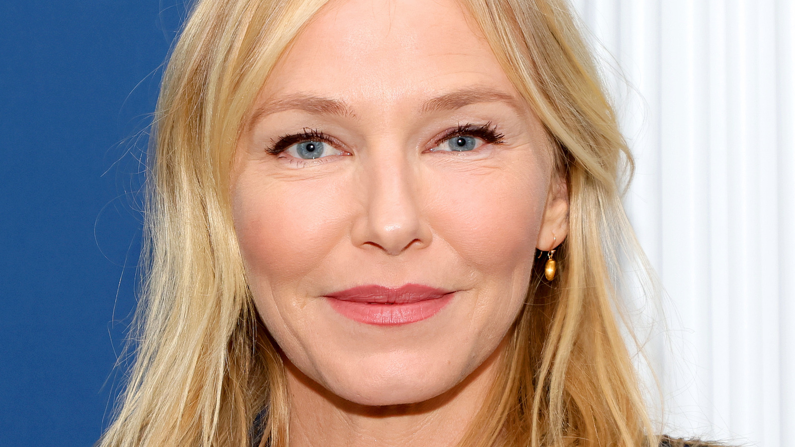 How Did Law & Order: SVU Send Off Amanda Rollins?