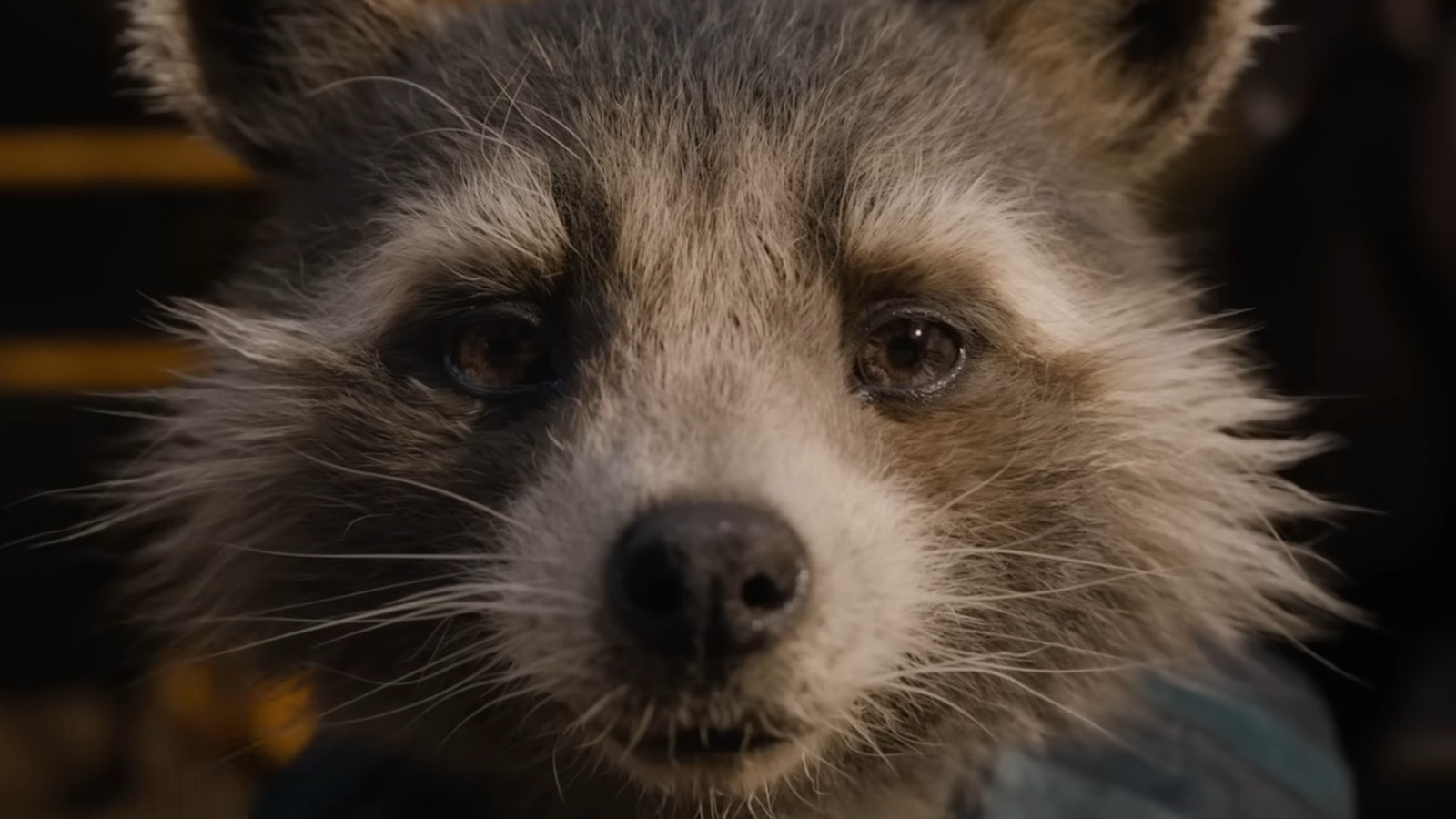 How Rocket's Gift From The Holiday Special Could Factor Into Guardians ...