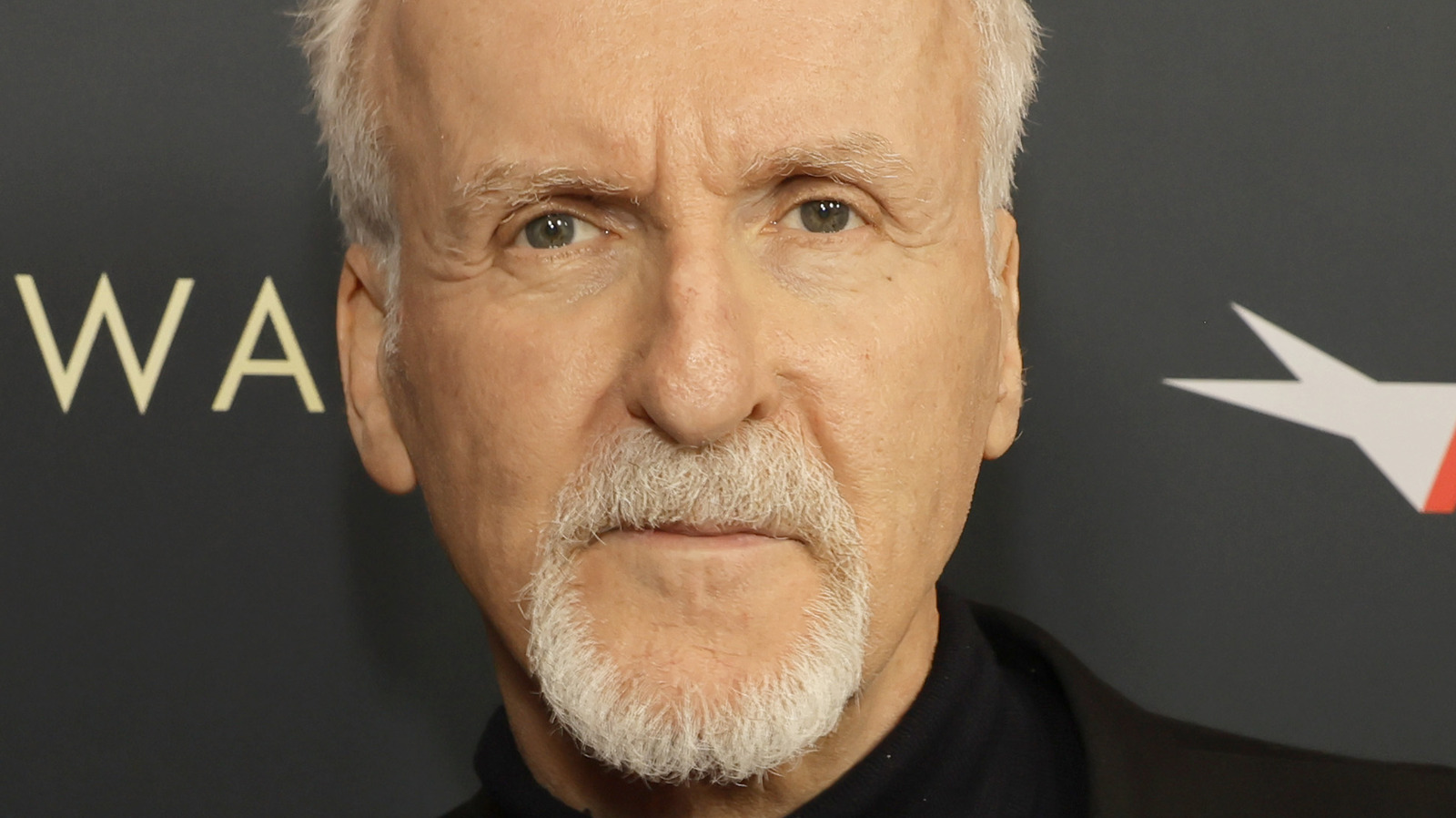 James Cameron Implemented A Strict Vegan Diet For Everyone On The Set ...