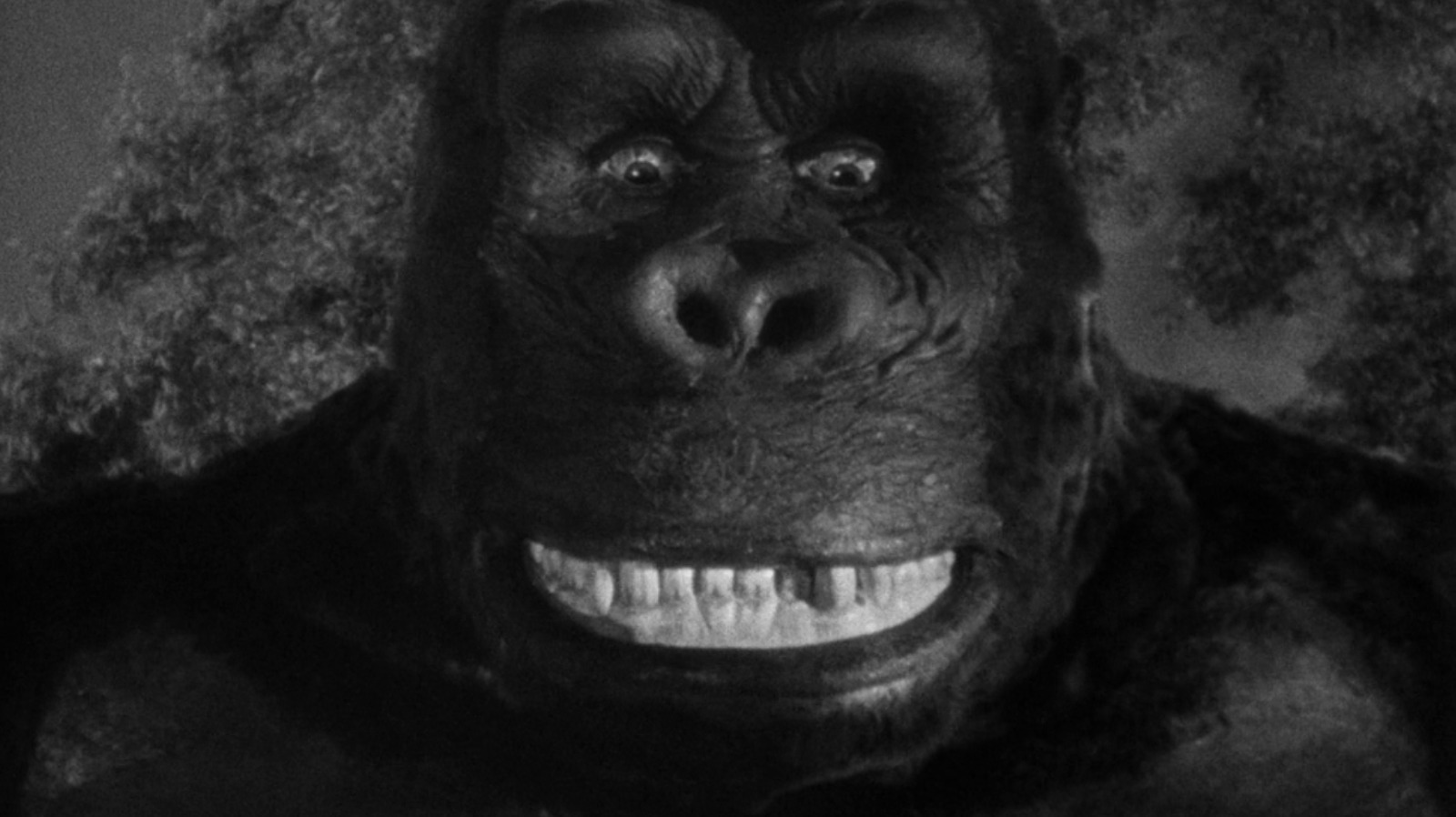 King Kong, Godzilla And Thanksgiving: A NYC Holiday Tradition