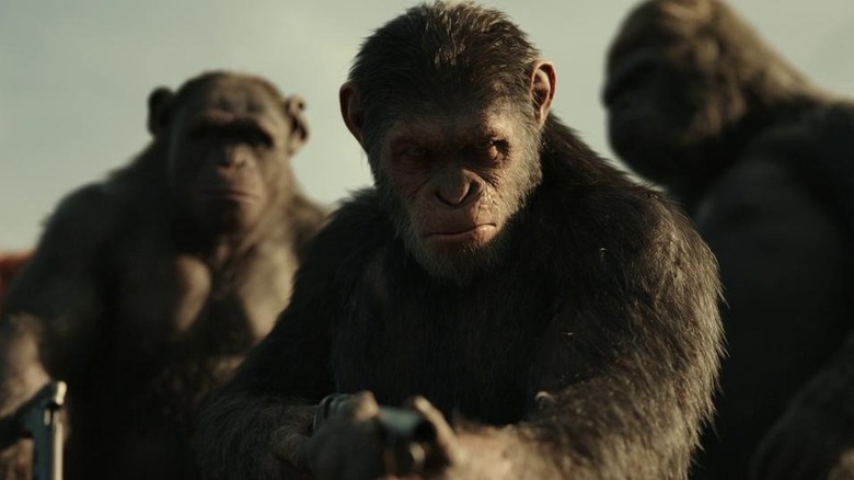 Kingdom Of The Planet Of The Apes Release Date, Cast, Director, Plot ...