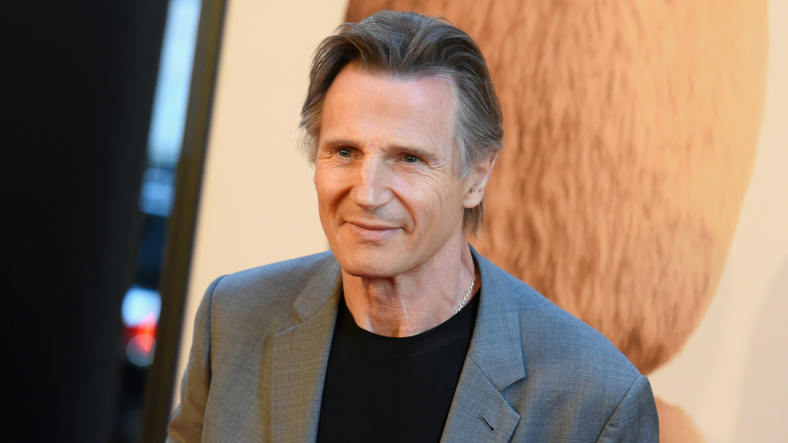 Liam Neeson's Three Projects With 100% Rotten Tomatoes Scores Aren't ...