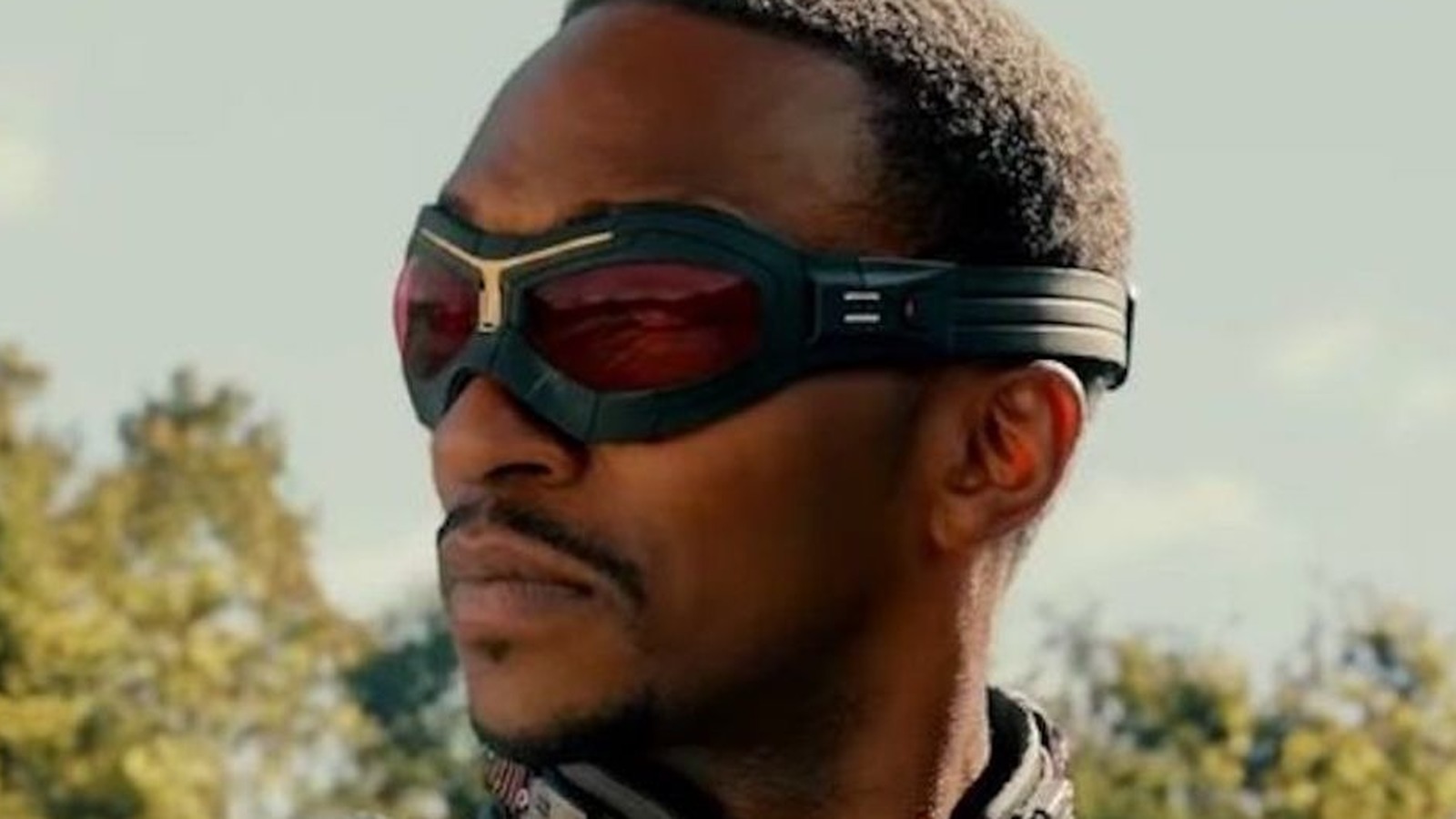 Meet Sam Wilson's Sister In New Falcon And The Winter Soldier Photo