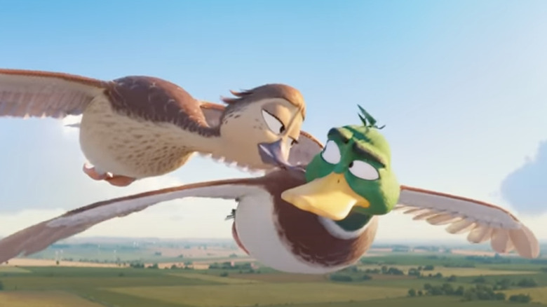 Migration - Everything You Need To Know