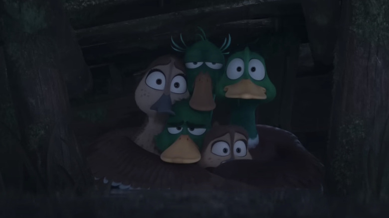 Migration - Everything You Need To Know