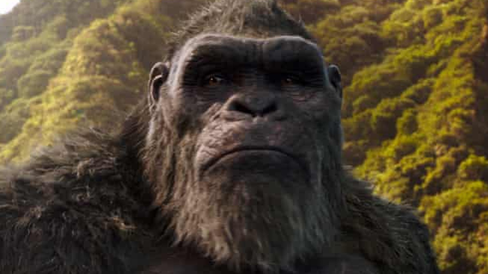 MonsterVerse Writer Has An Amazing Idea For The Next Movie