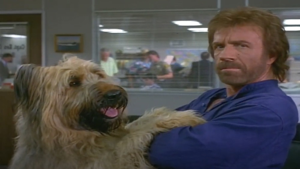 Movies That Earned A 0% Rating On Rotten Tomatoes