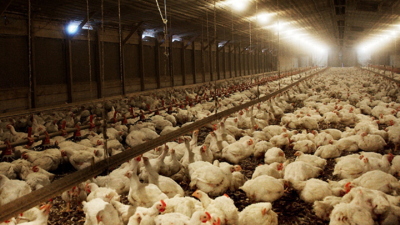 Rotten Season 3 - What We Know So Far