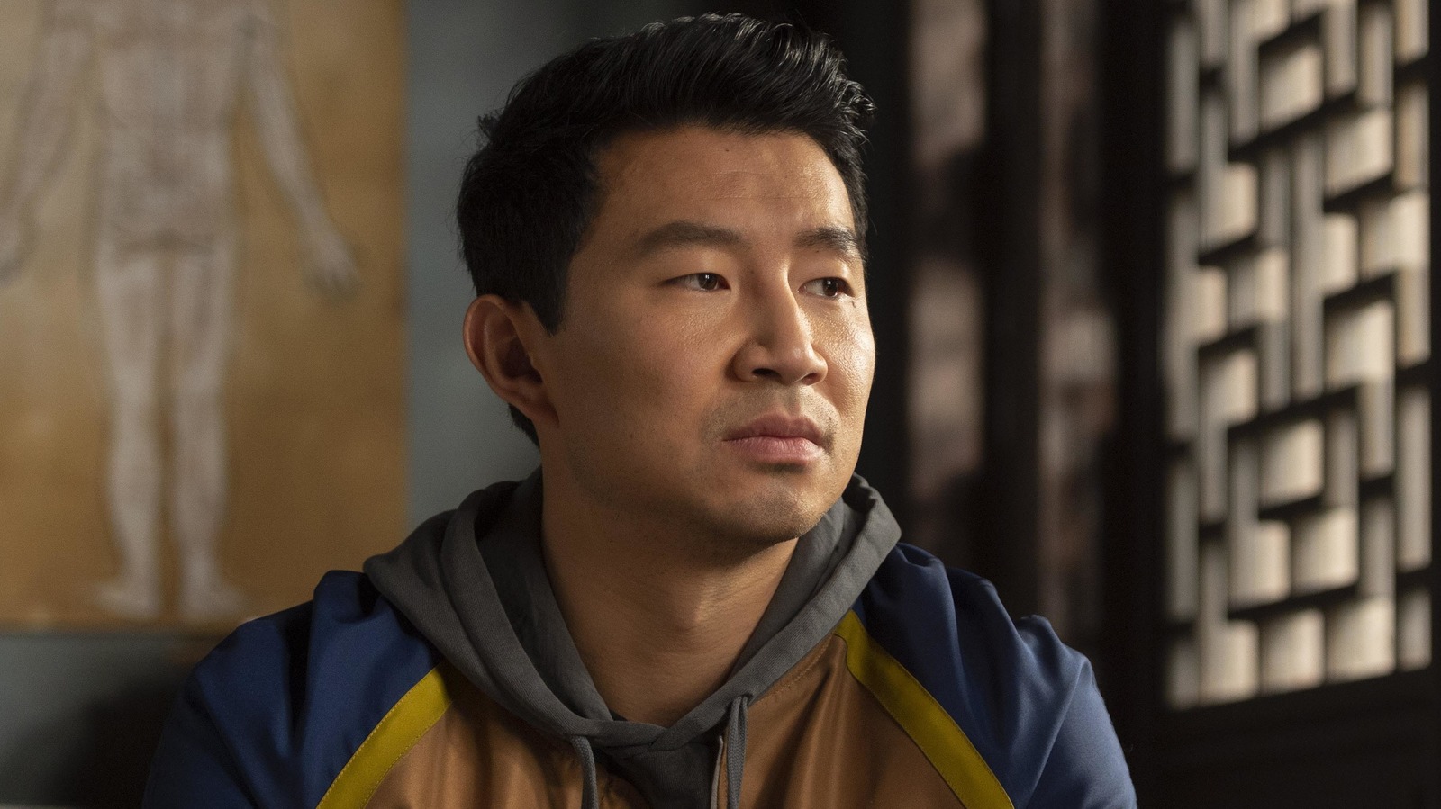 Shang-Chi 2's Rumored Plot Teases The Big-Screen Debut Of A Netflix ...