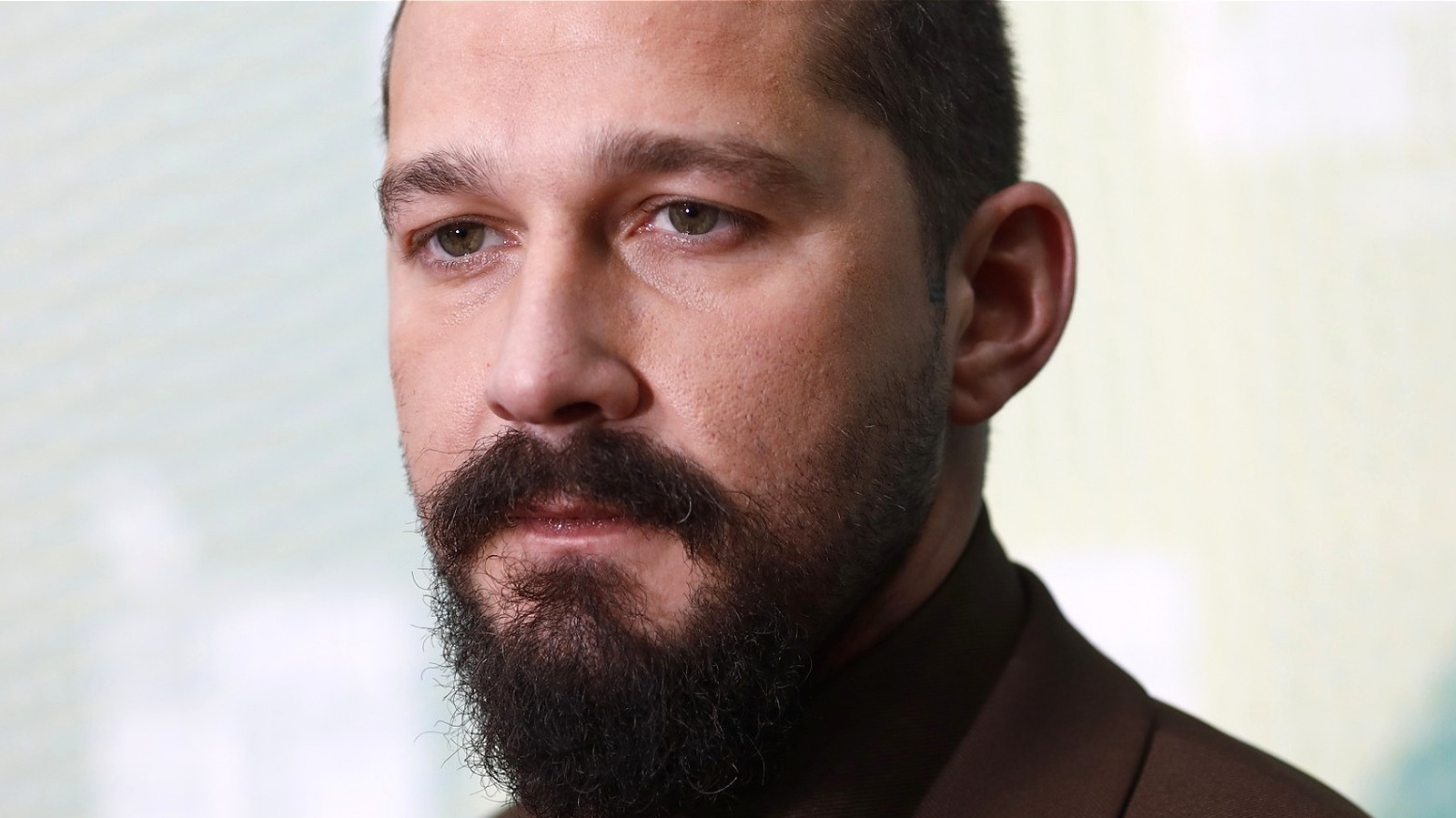 Shia LaBoeuf Once Voiced A Studio Ghibli Character You Likely Don't ...