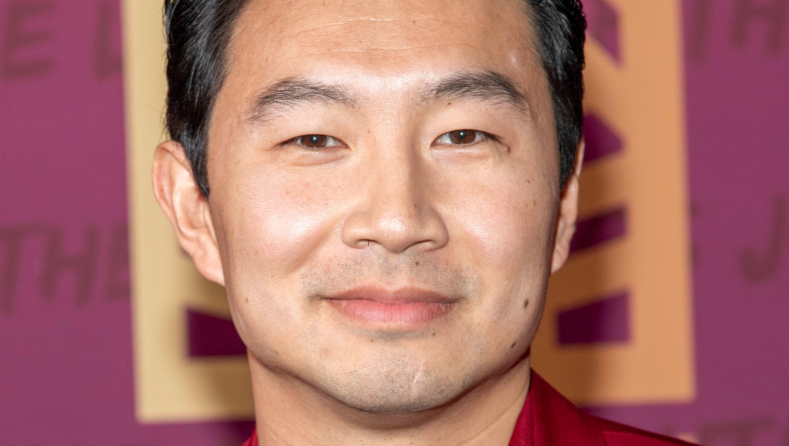 Simu Liu Brutally Trolls Warner Bros. With Shang-Chi Holiday Special Tweet