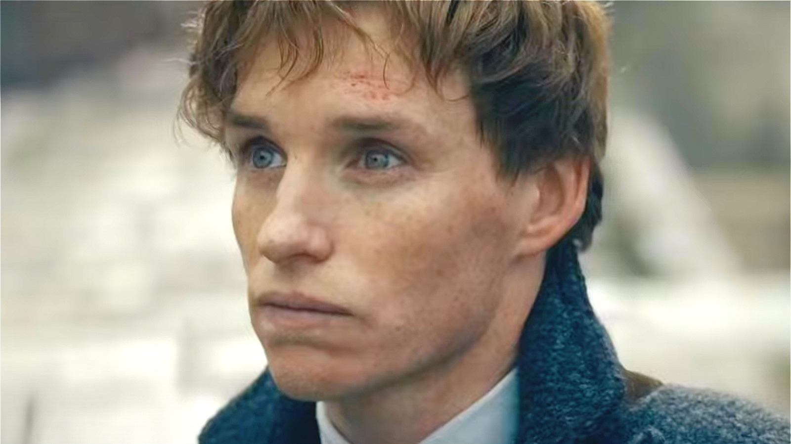 Small Details You Missed In The Second Fantastic Beasts: The Secrets Of ...