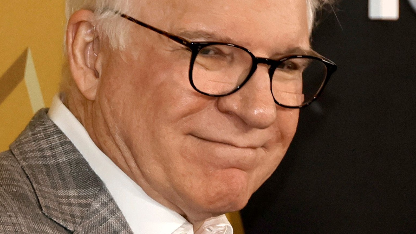 Steve Martin Confirms What We Suspected About His Career After Only ...
