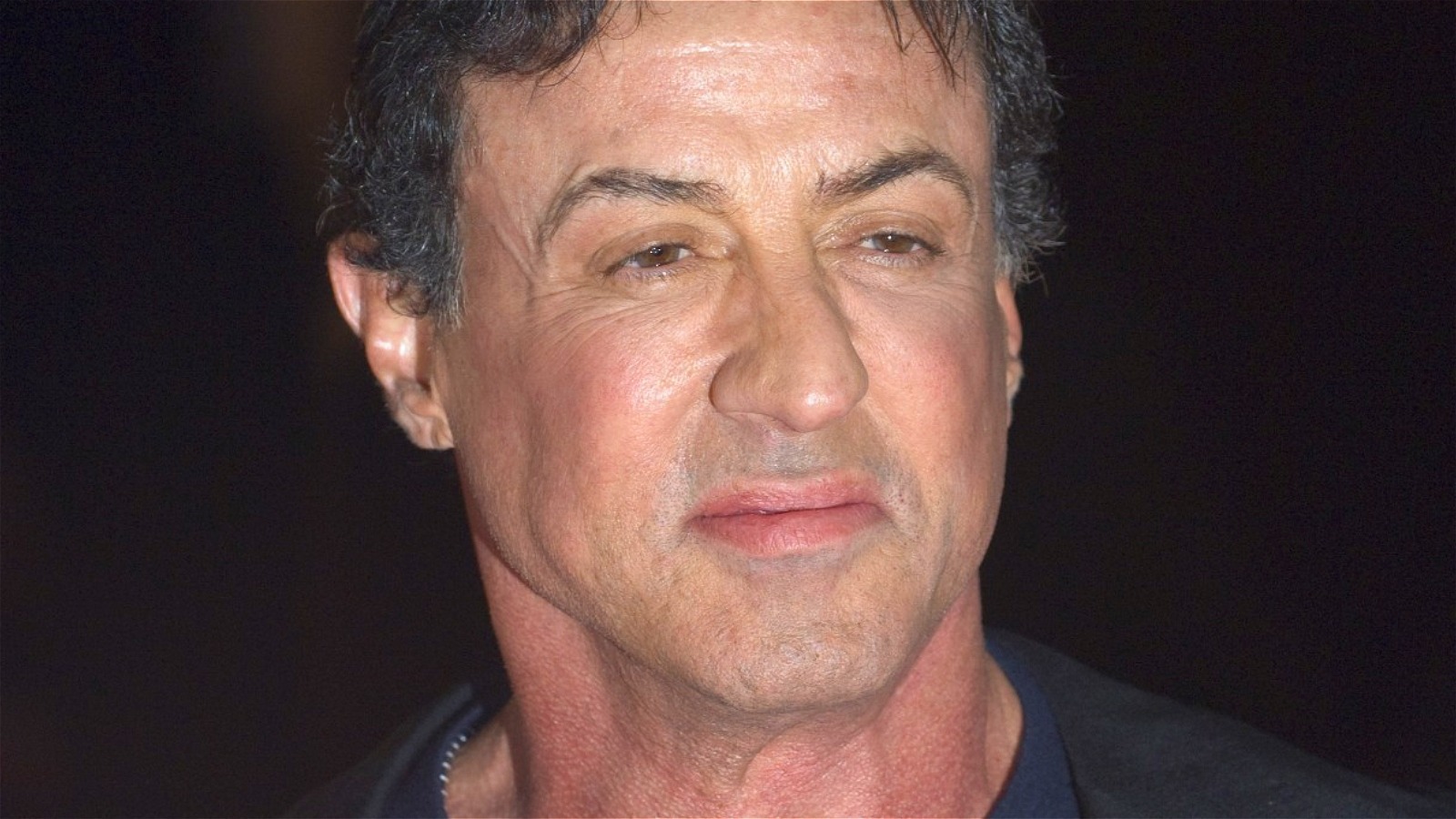 Sylvester Stallone Before And After Steroids