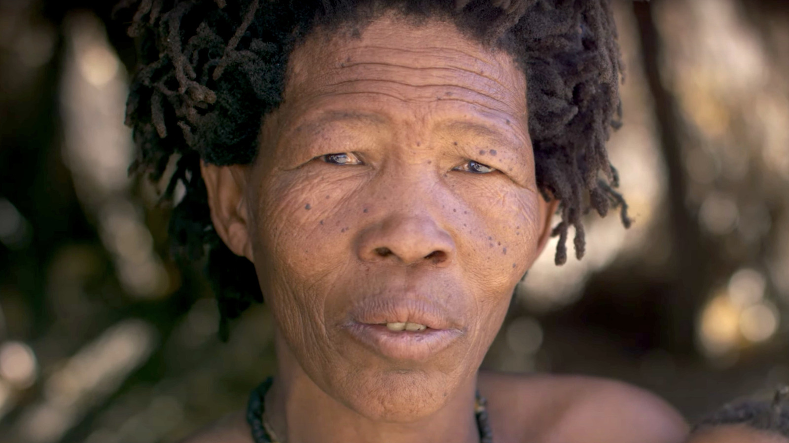 Tales By Light Season 4 - What We Know So Far