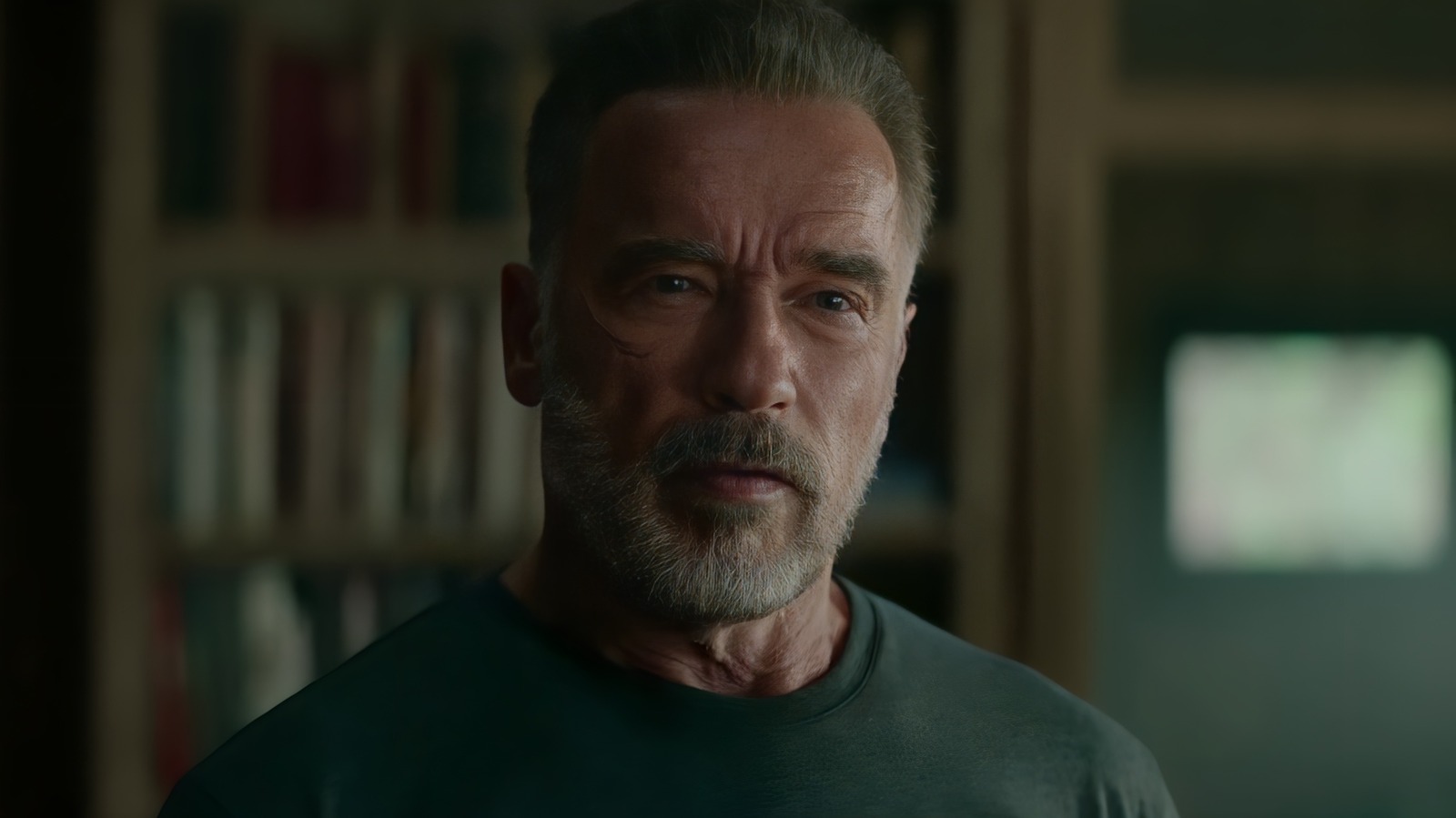 Terminator: Arnold Schwarzenegger Doesn't Mince Words When It Comes To Genisys And Dark Fate