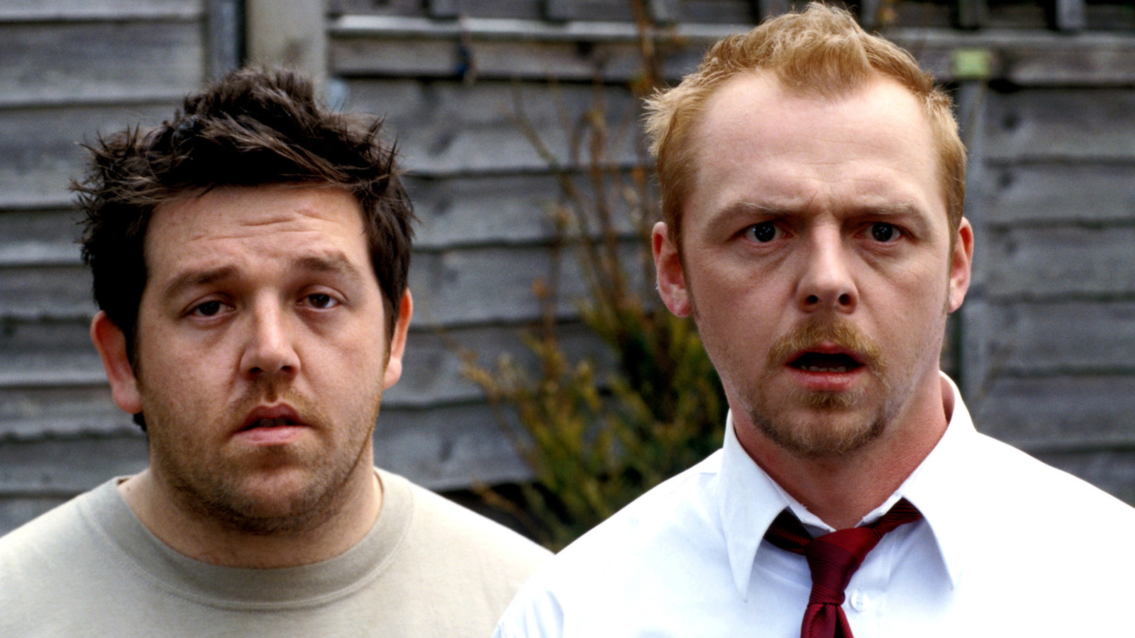 The Best Horror Comedies Everyone Should Watch