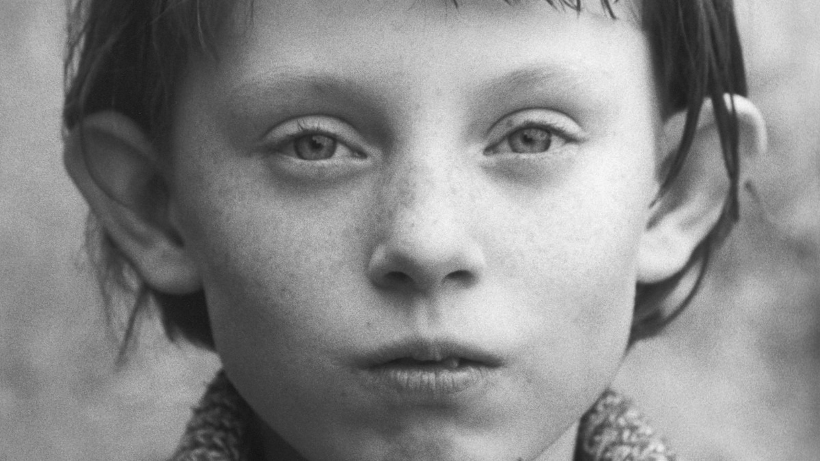 The Best Movies Over 5 Hours Long