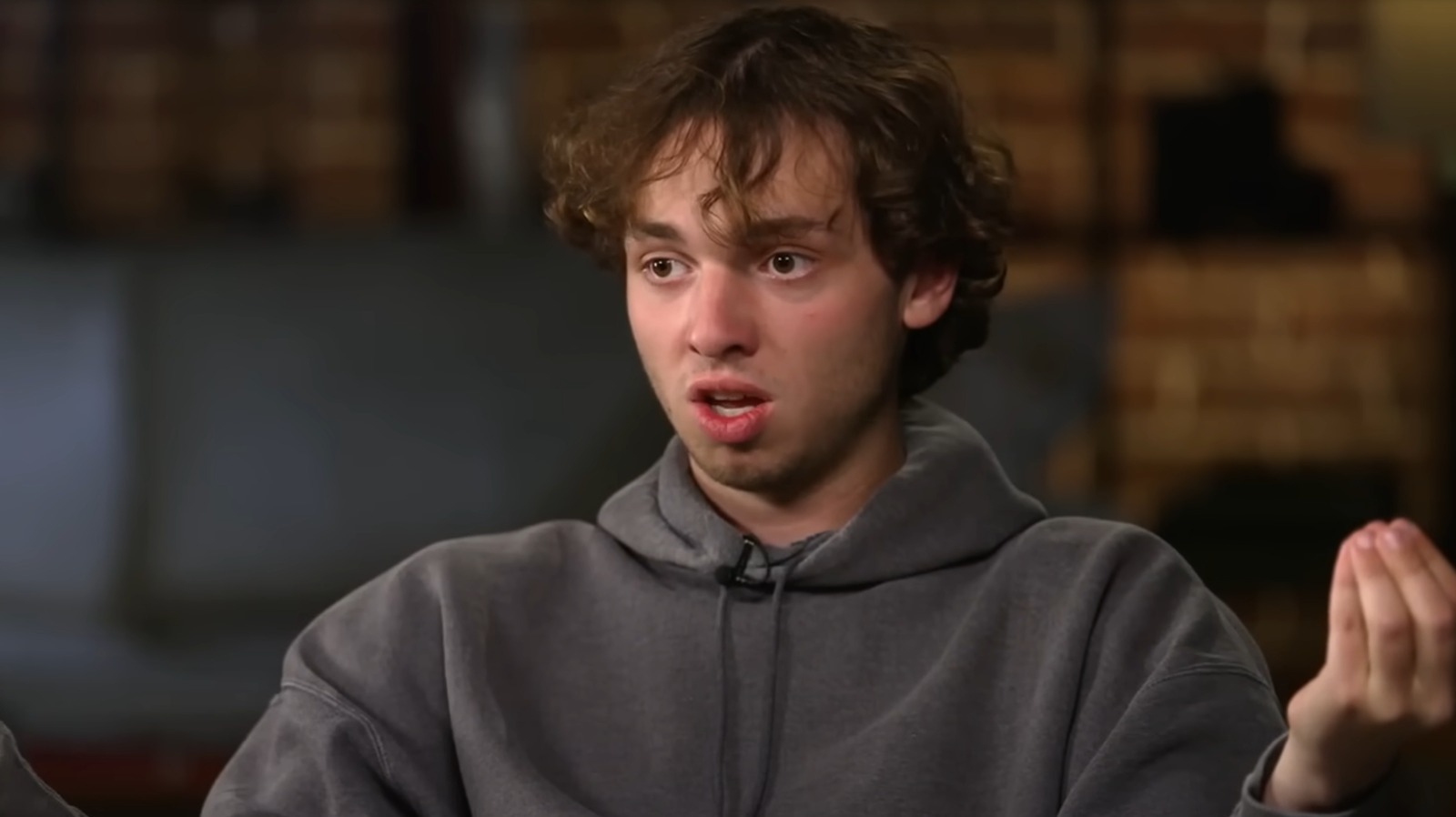 The Bird Conspiracy Theory On 60 Minutes That Gave Viewers Quite The ...