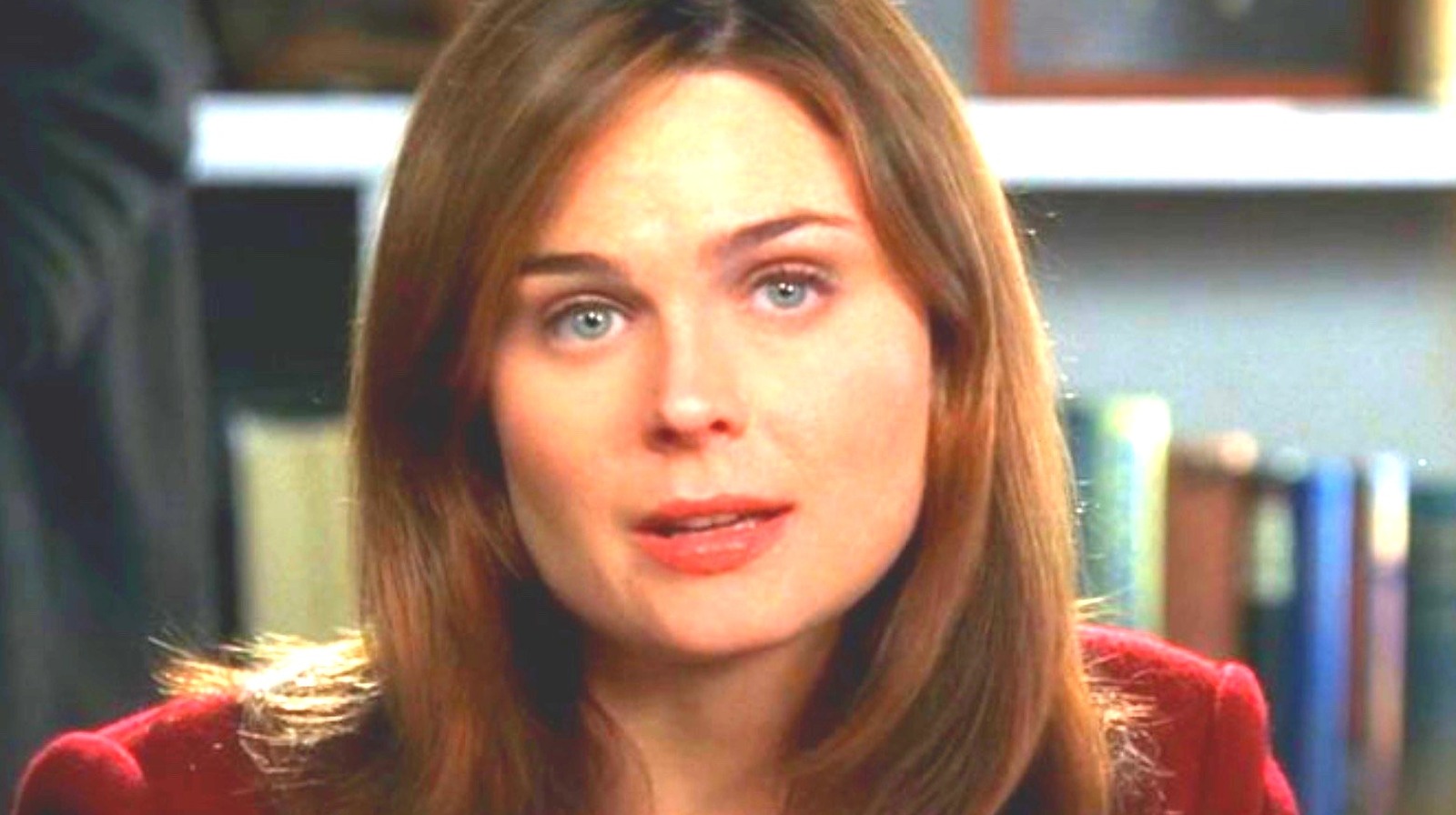 The Bones Fan Theory That Was Confirmed About Brennan