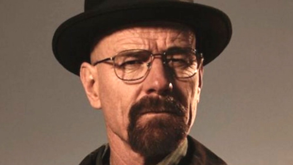 The Breaking Bad Theory About What That Fly Really Represents