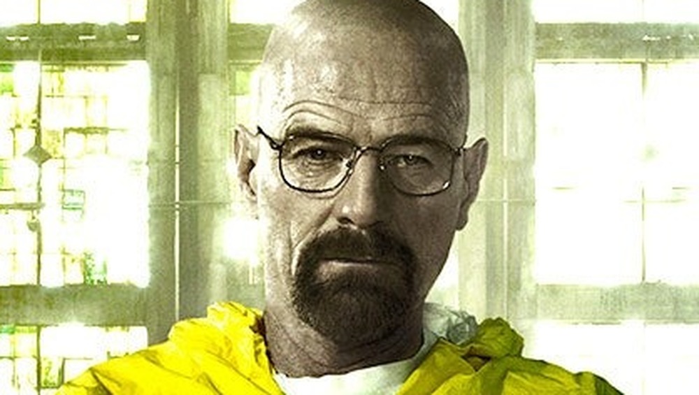 The Breaking Bad Theory About What That Fly Really Represents