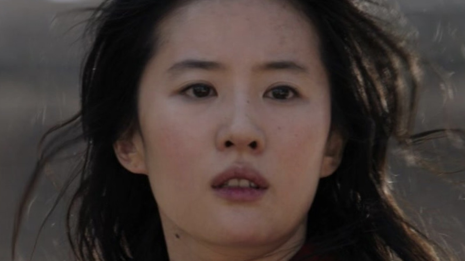 The Real Mulan In History