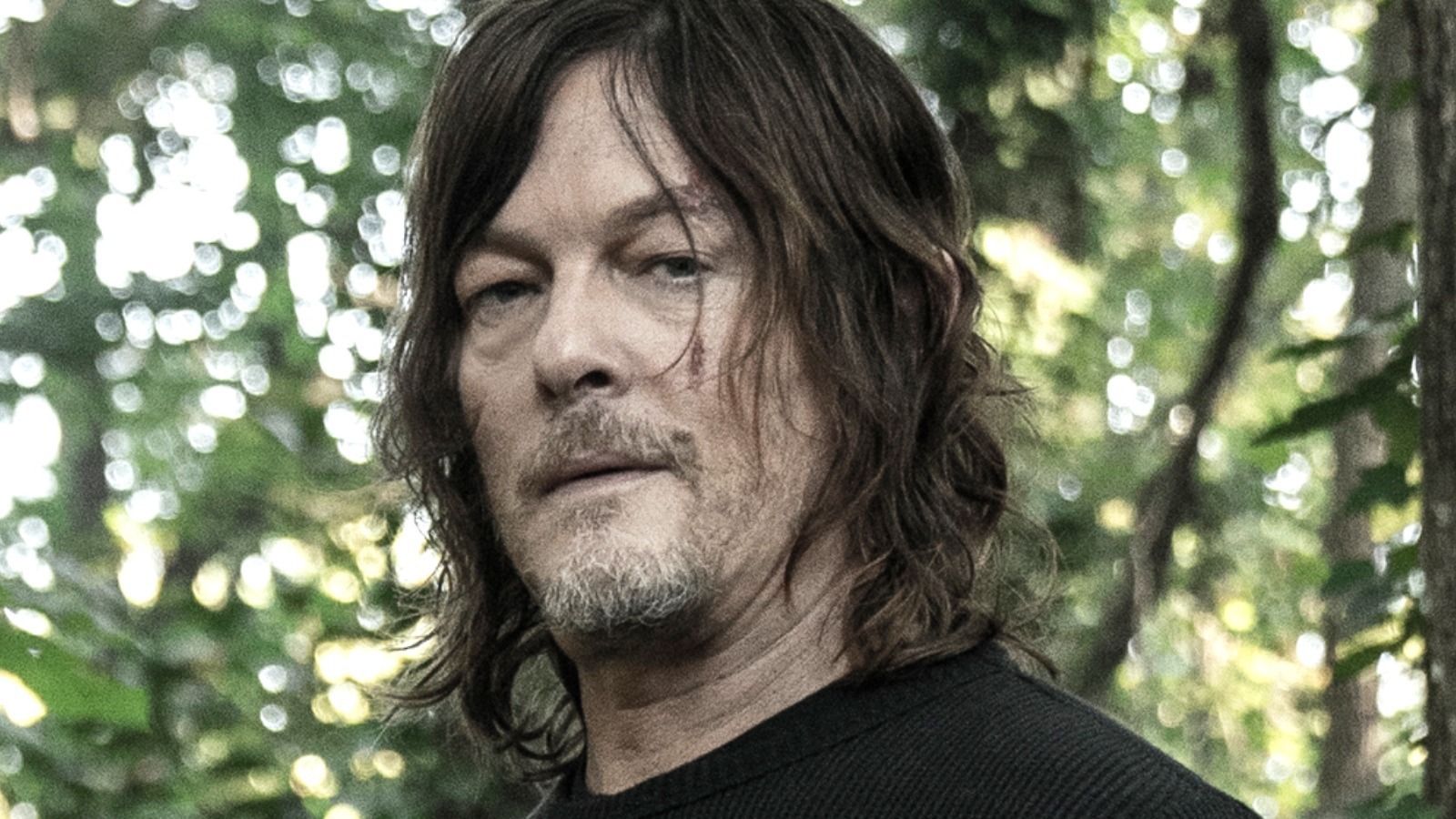 The Daryl Line From The Walking Dead That Has Fans Buzzing