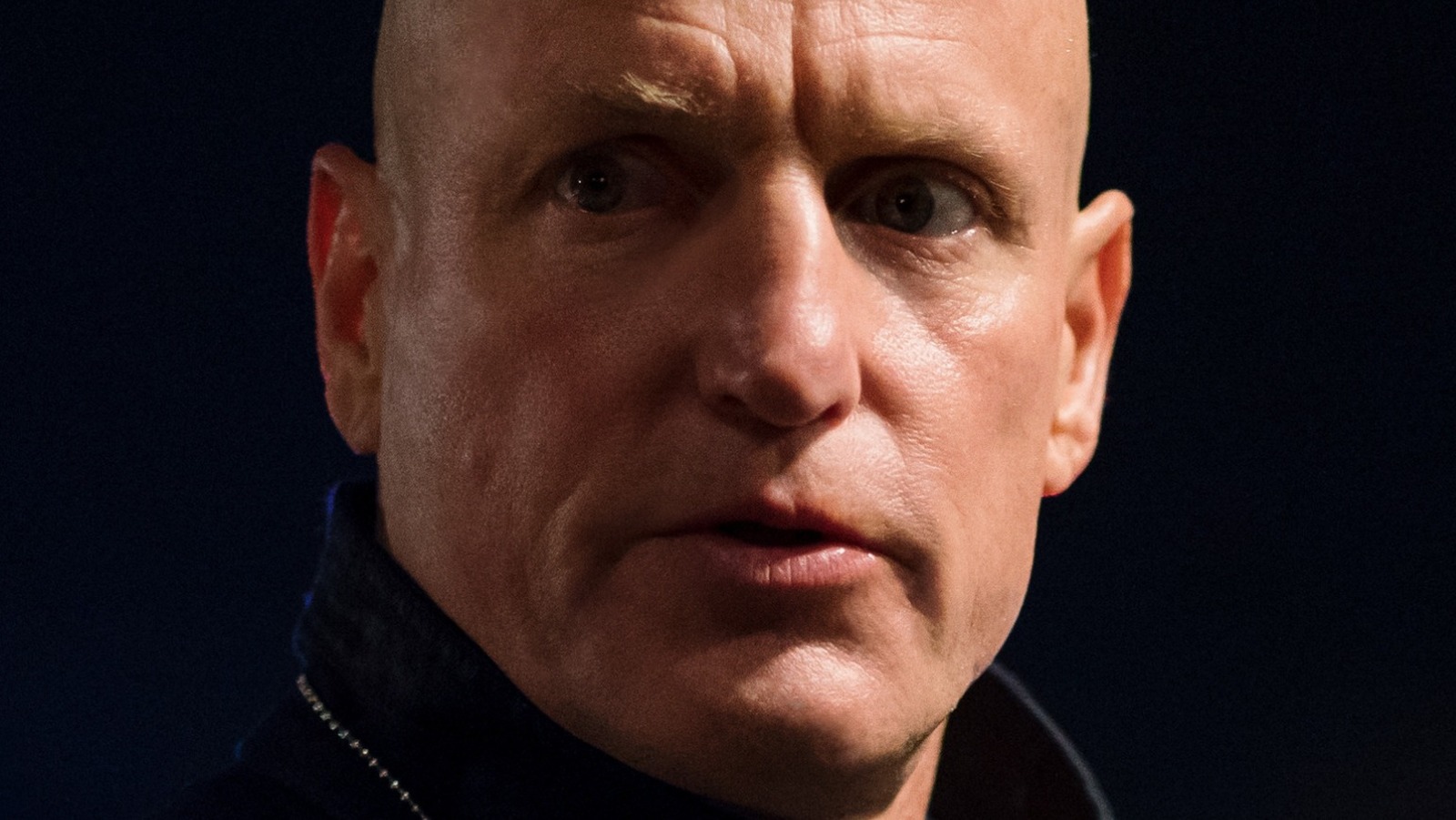 The Ending Of The Man From Toronto Explained