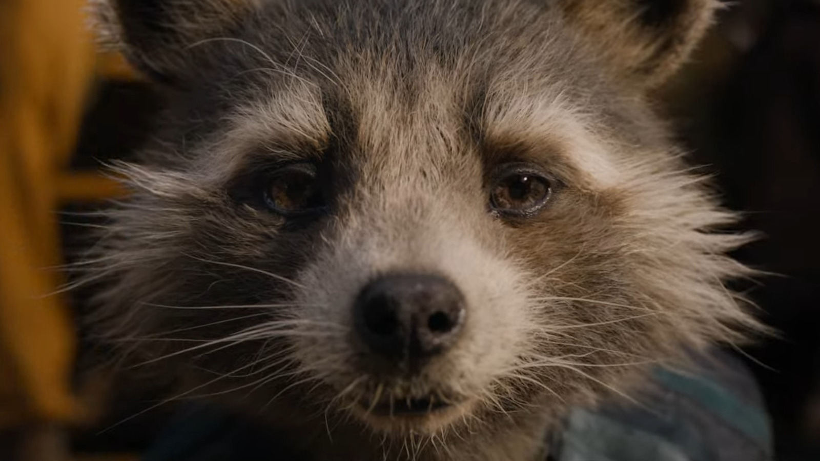 The Guardians Of The Galaxy Vol. 3 Trailer Beautifully Reunites Gamora ...