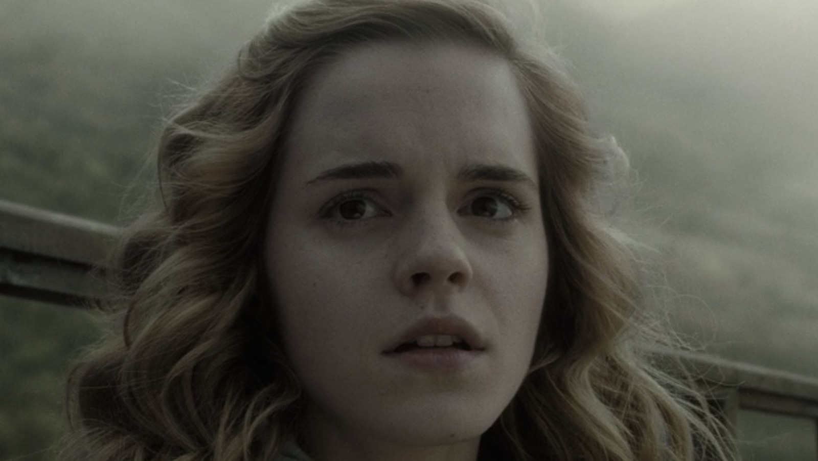 The Half Blood Prince Movie Ron